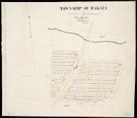 Township of Rakaia : 1874 - Christchurch City Libraries Digital Maps ...